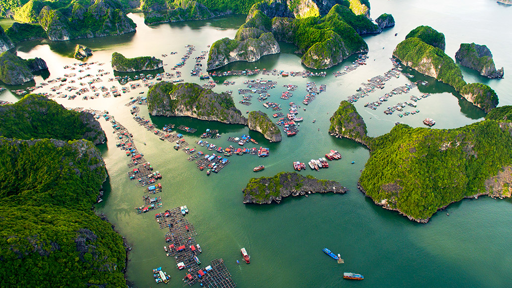 ExxonMobil in Vietnam's Community | ExxonMobil