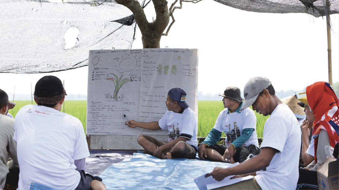 Support Indonesian farmers through education | ExxonMobil in Indonesia