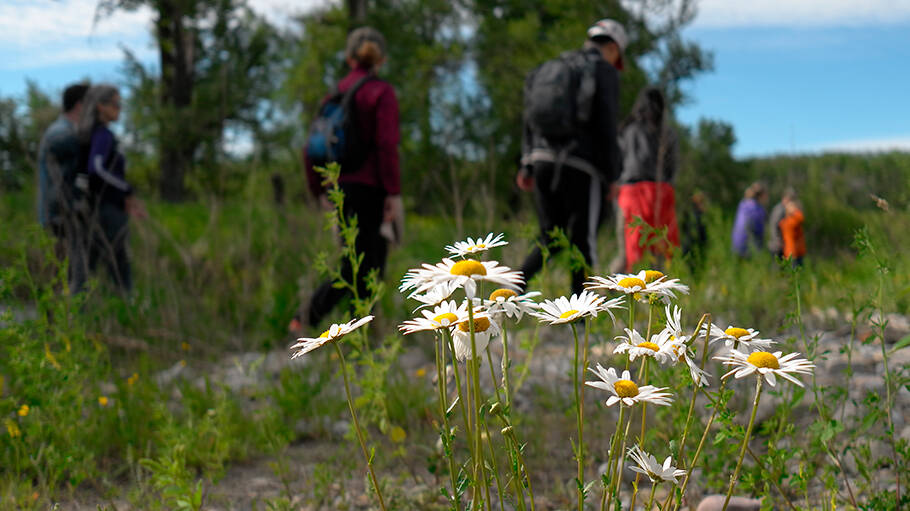 Community impact | ExxonMobil in Belgium