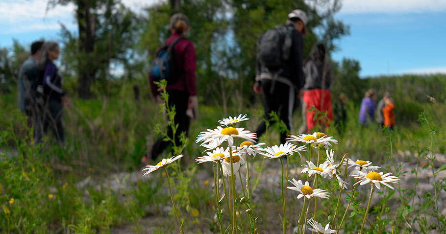 Community impact | ExxonMobil in Belgium