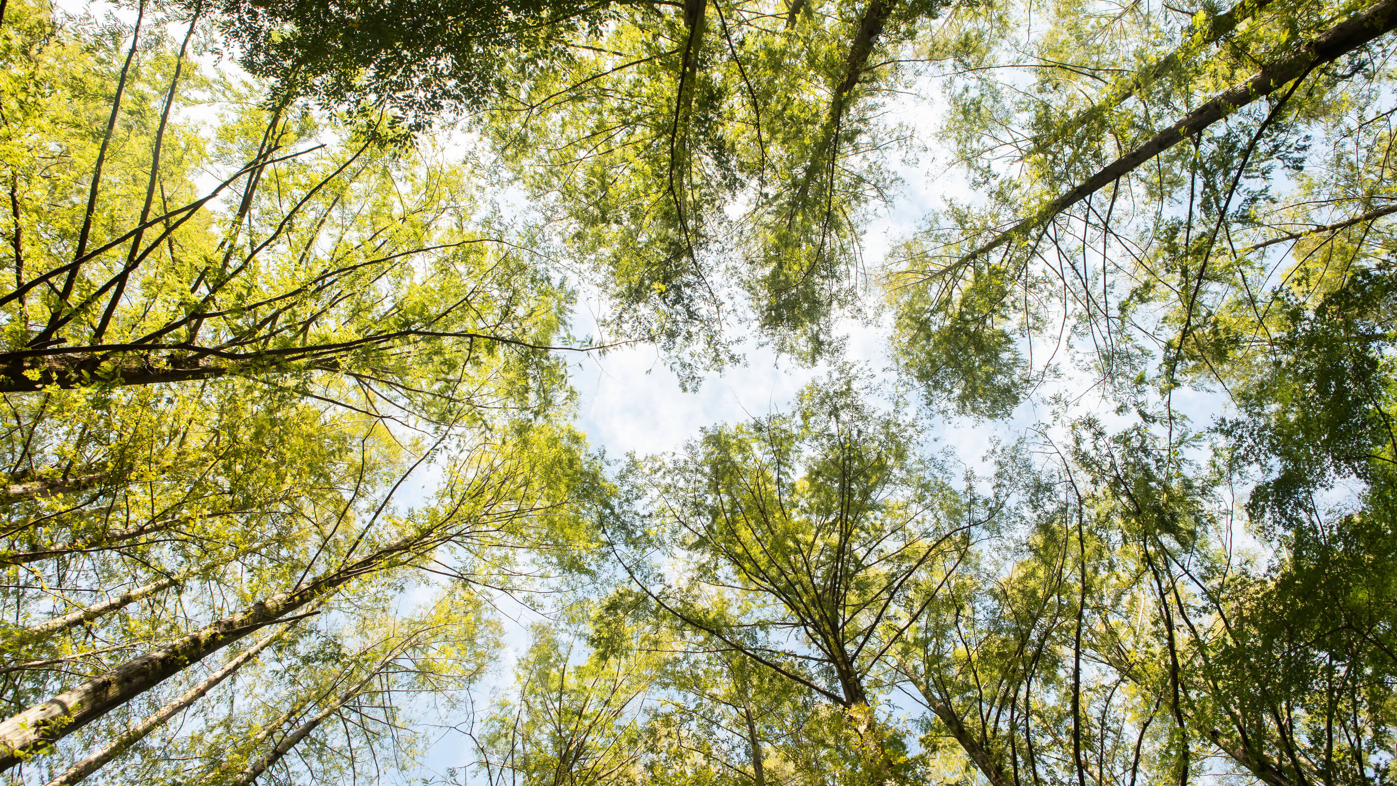 Sustainability and reports | ExxonMobil